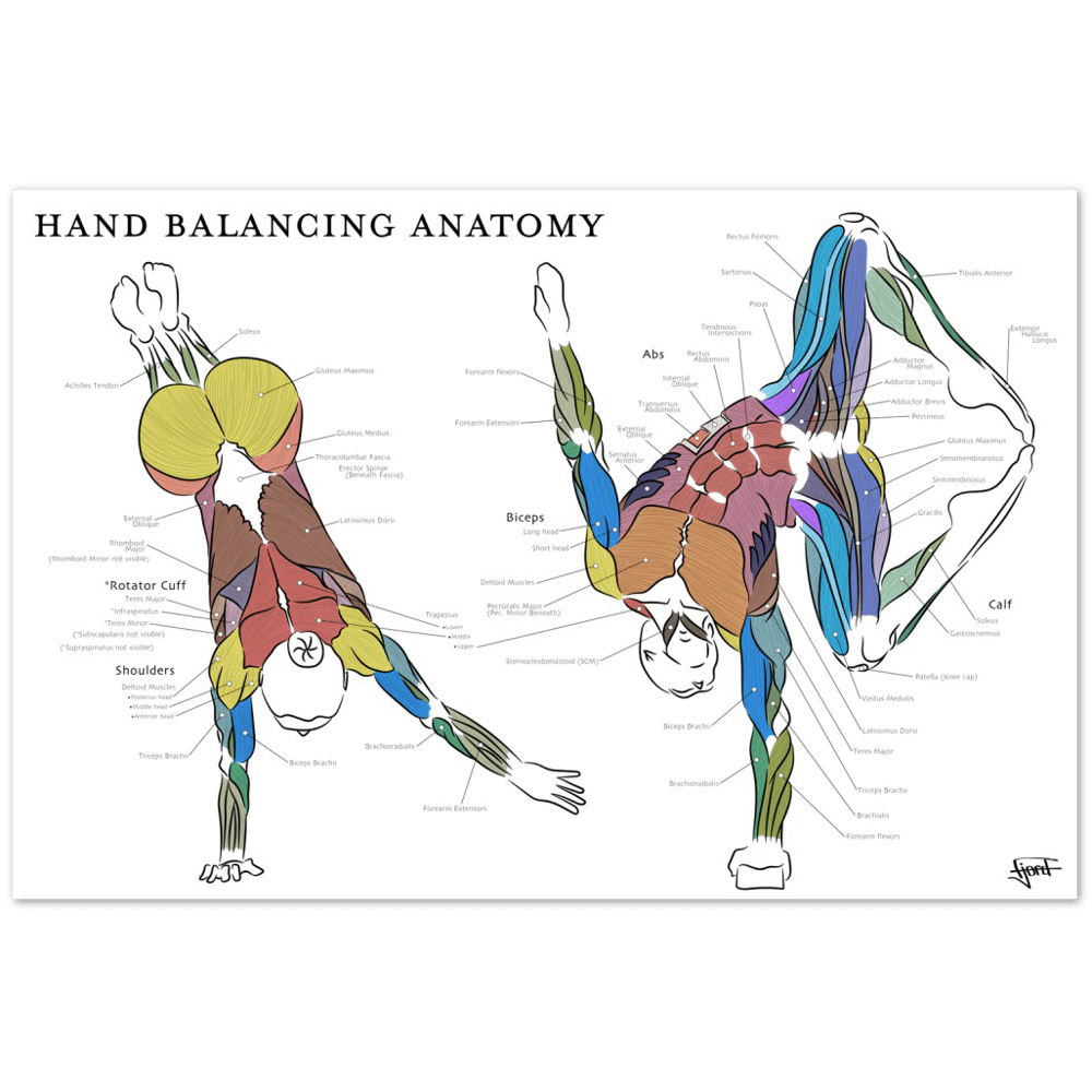 Hand Balance